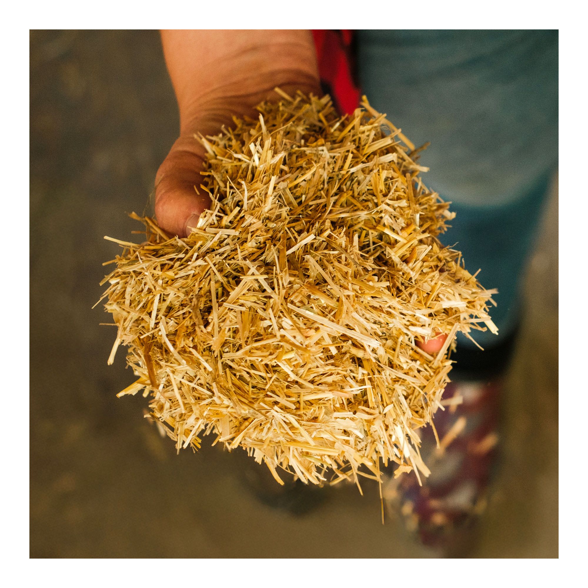Fine Straw Bedding for Animals, 3 cu. ft. from FARMSTRAW | BMR