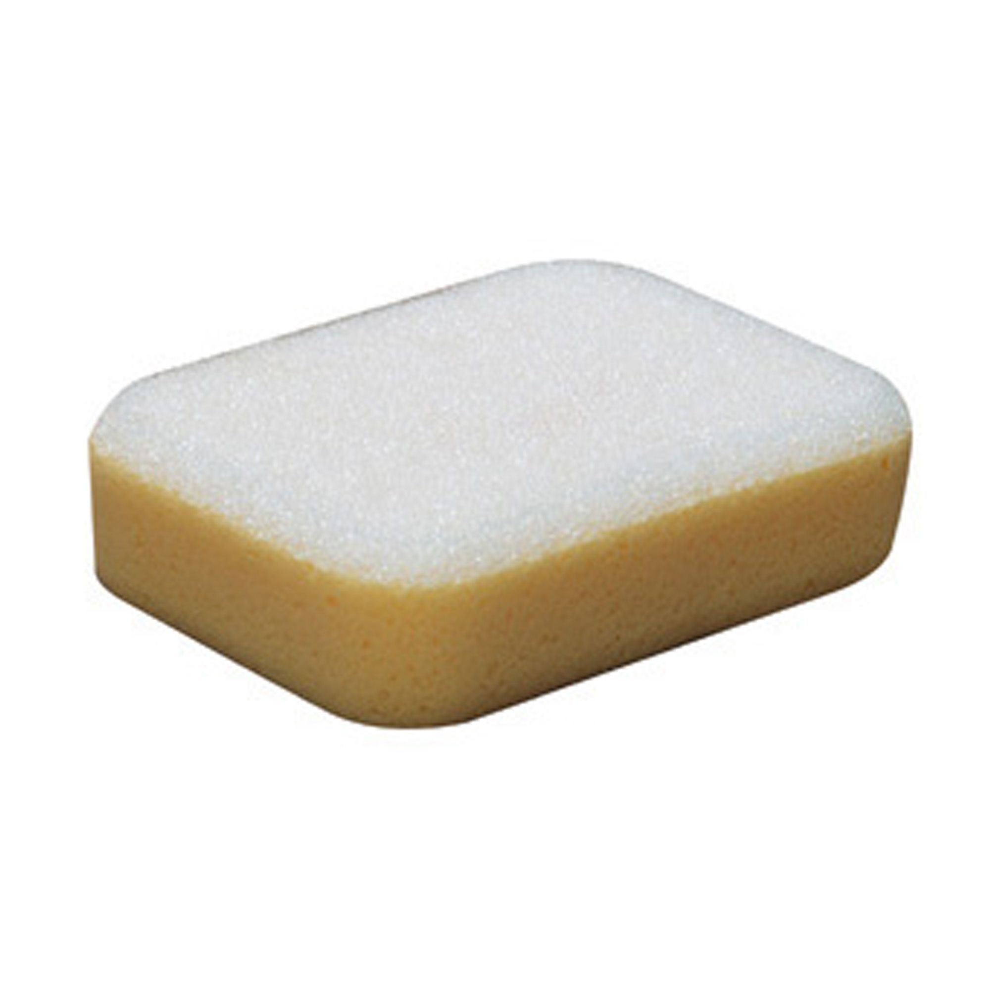 Multi-Purpose Double Sided Sponge from RICHARD | BMR