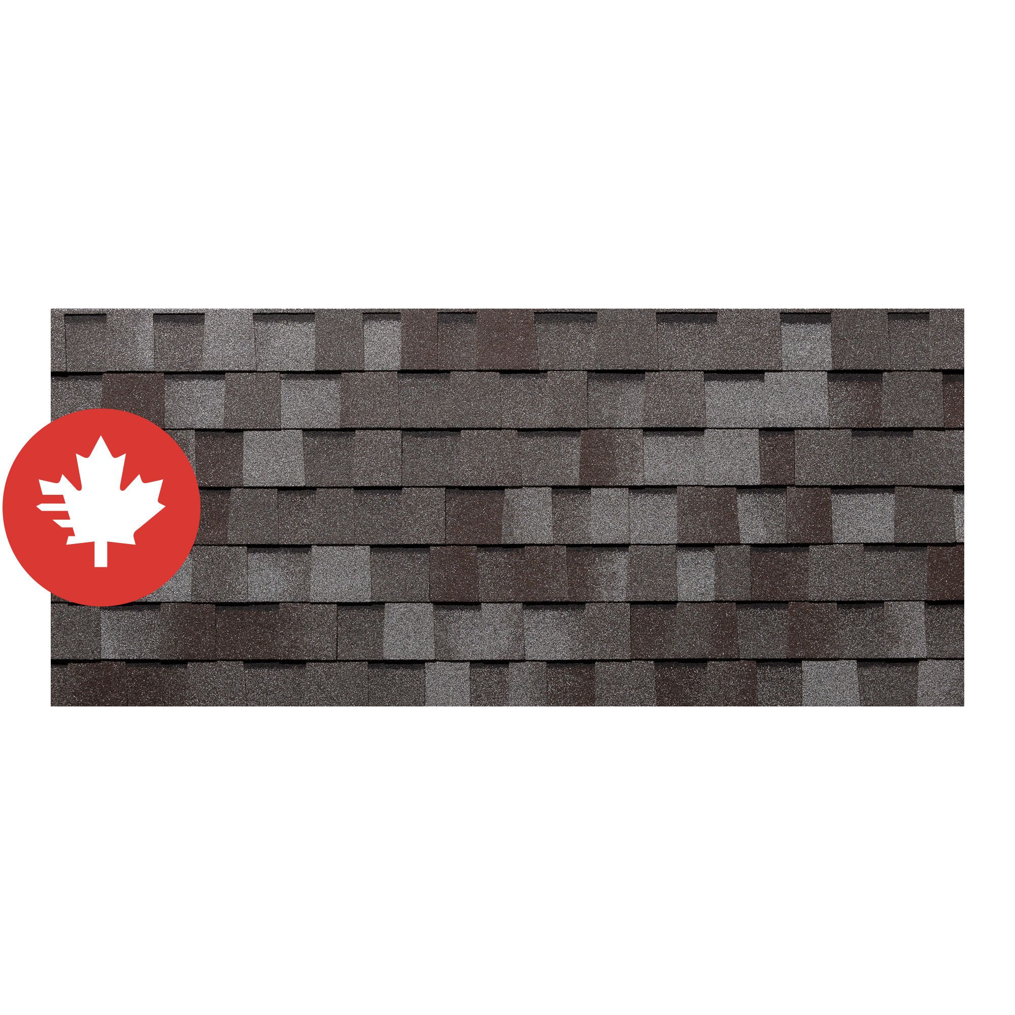 Asphalt Shingle - Signature - Cortina from BP CANADA | BMR