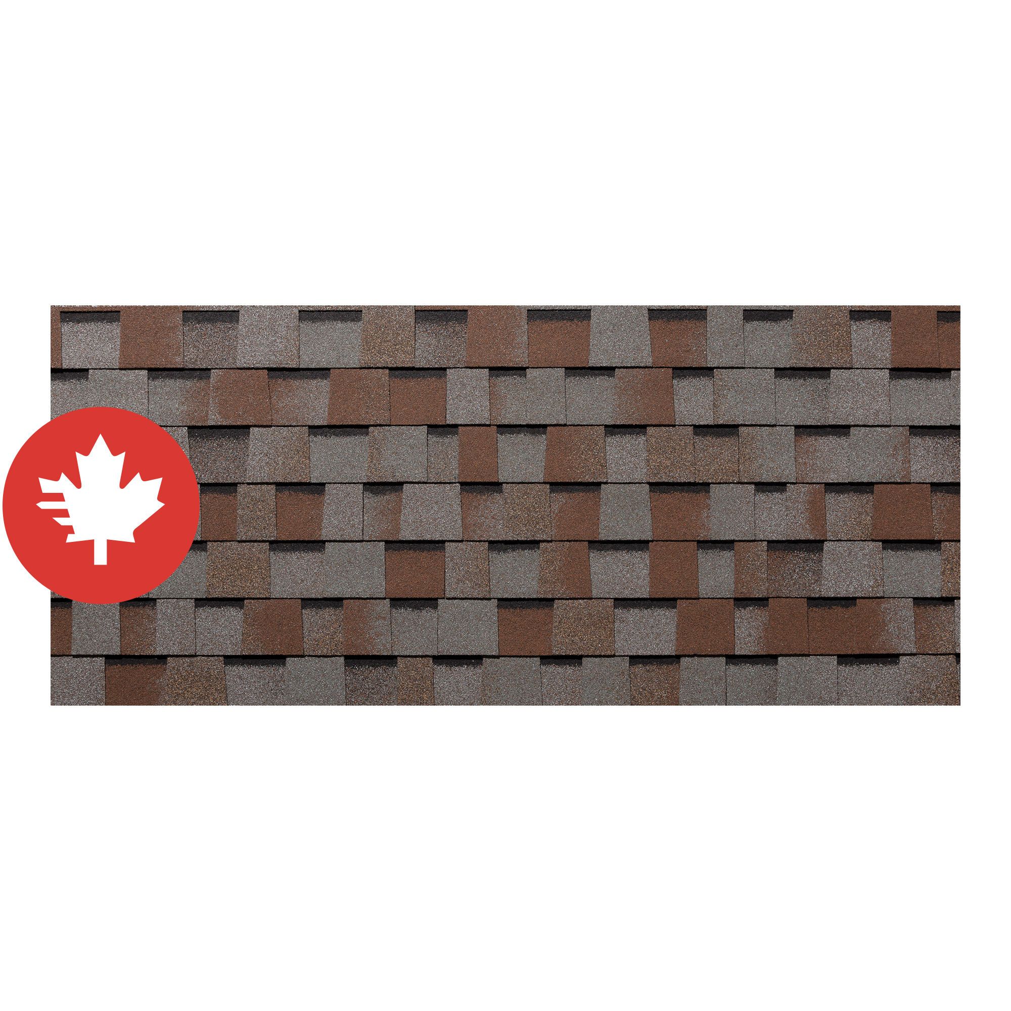 Asphalt Shingle - Signature - Dublin from BP CANADA | BMR