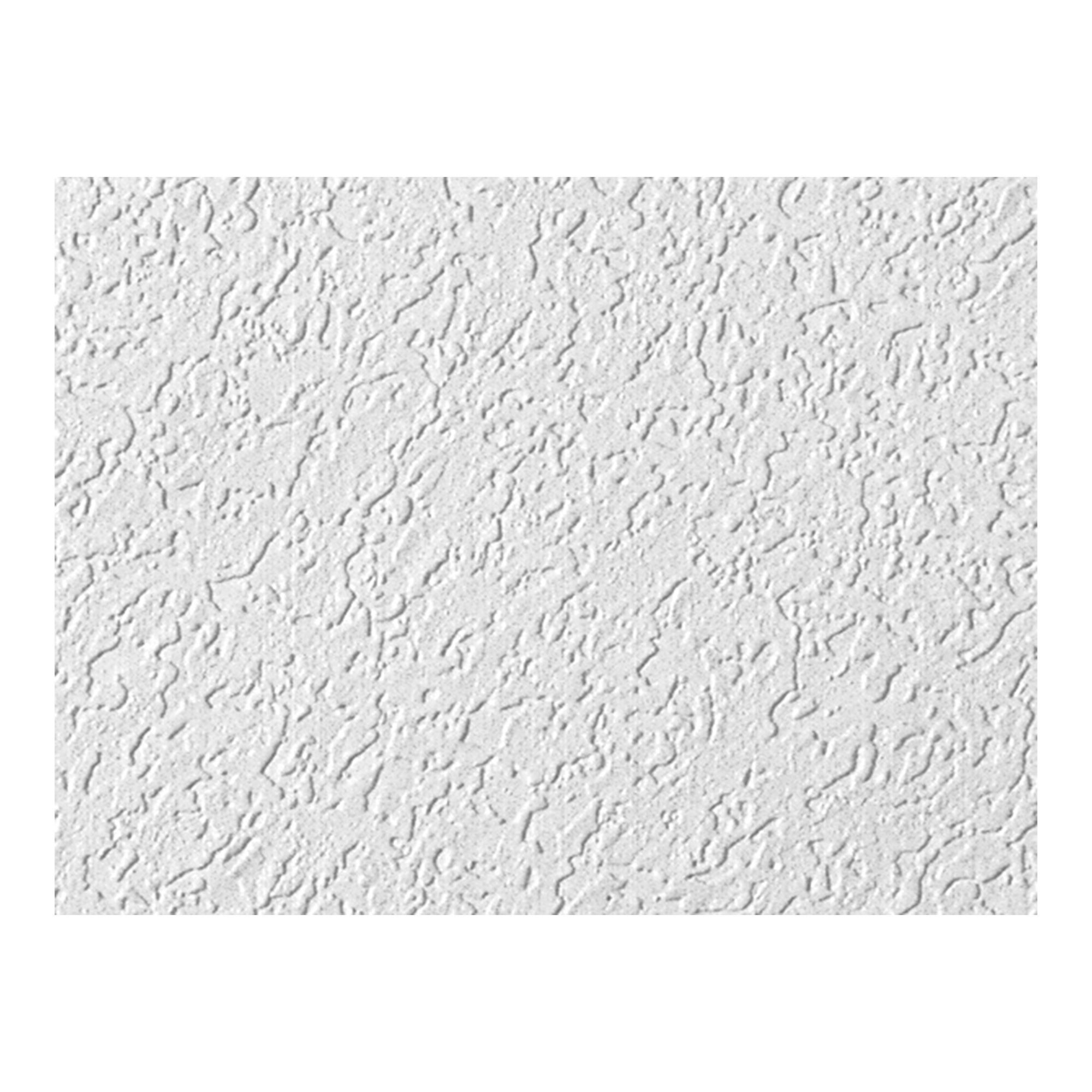 Ceiling Tile – Tabaret – 2’ x 4’ – 12/pkg from CGC | BMR