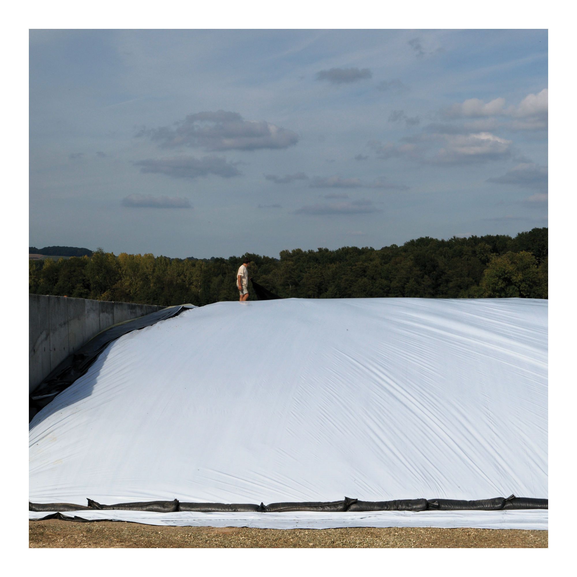 Poly Sheeting, 5 mm, Black White, 16 x 1000-ft from HITEC PLASTICS | BMR