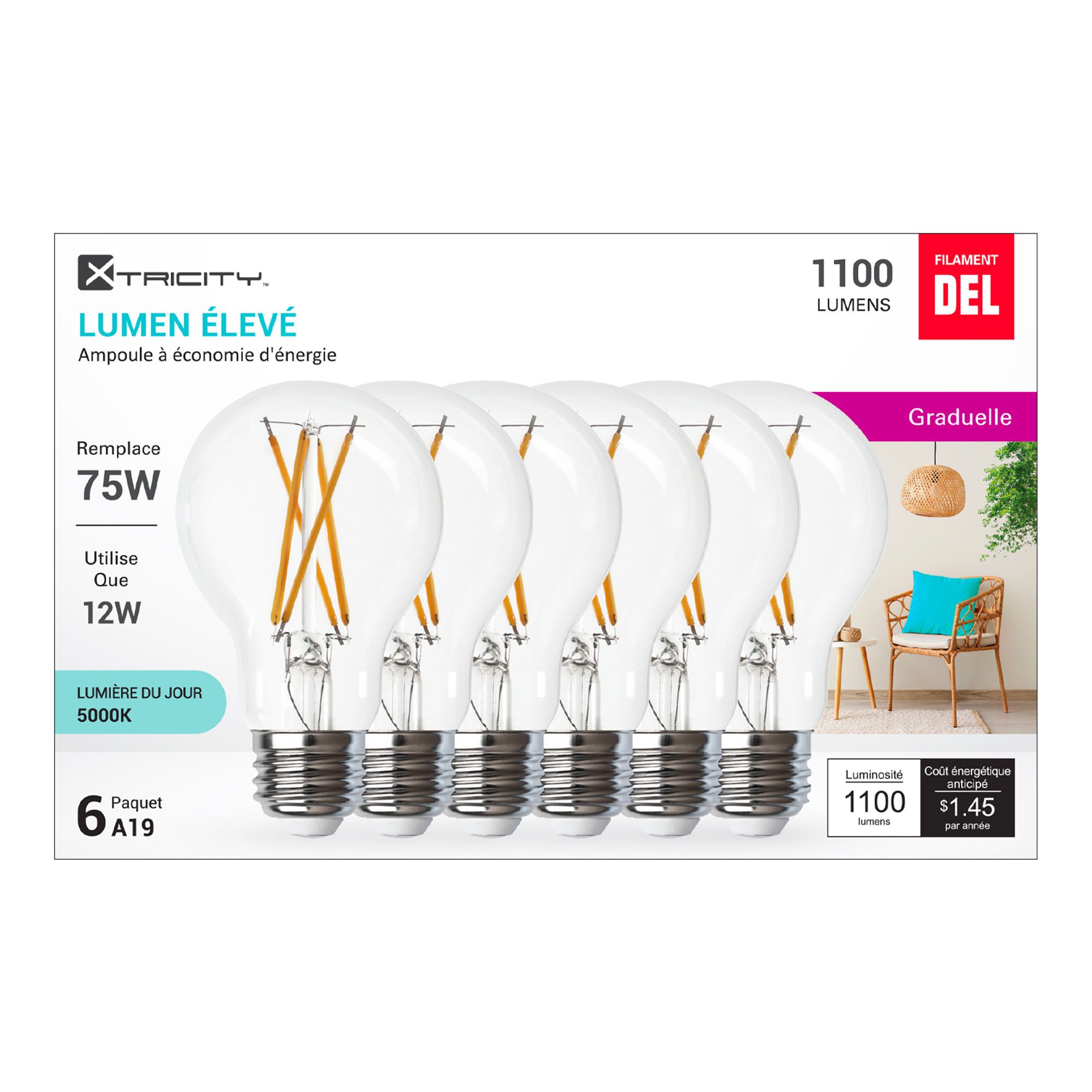 A19 LED Bulb - 12 W - Daylight - 6/Pkg from XTRICITY | BMR