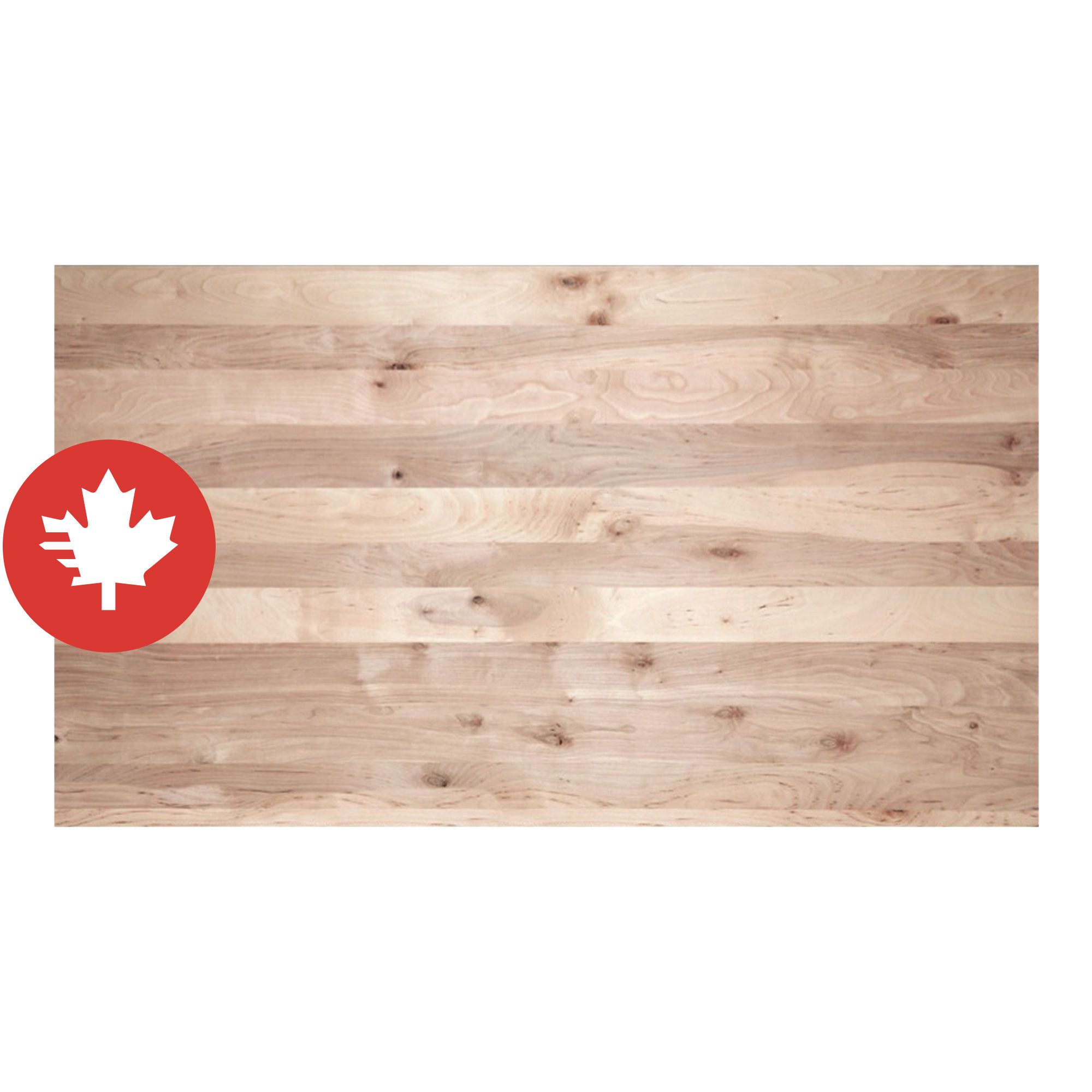Birch Decorative Panel - 1/4" x 8' x 4' from BMR | BMR
