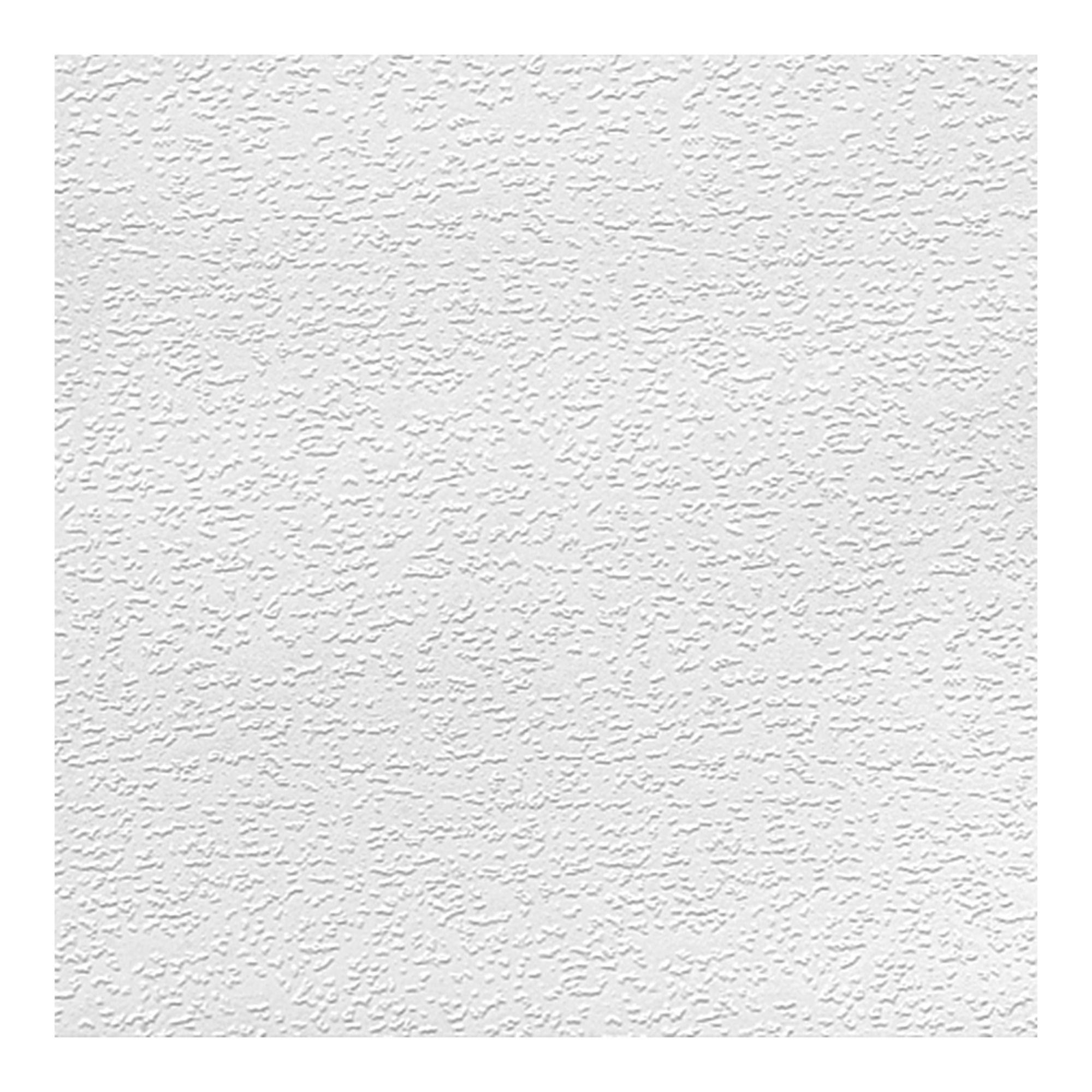 Ceiling Panel - 2' x 4' - 8/Pkg - Covers 64 sq. ft. from BP CANADA | BMR