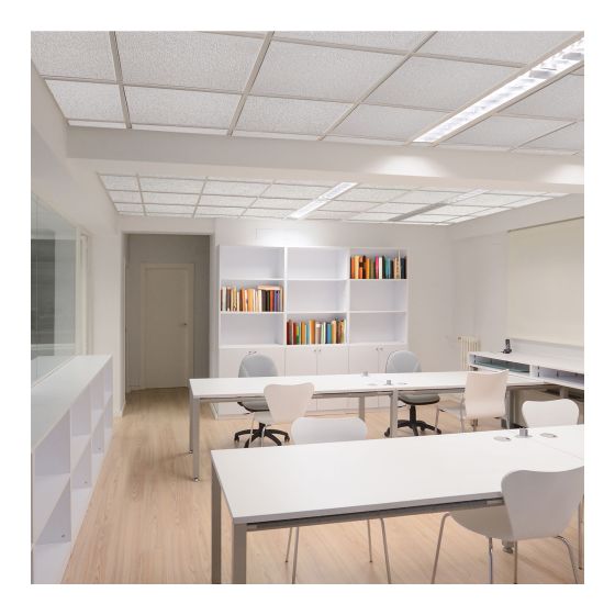 Ceiling Tile - Alpine - 2' x 2' - 16/Pkg - Covers 64 sq. ft. from CGC | BMR